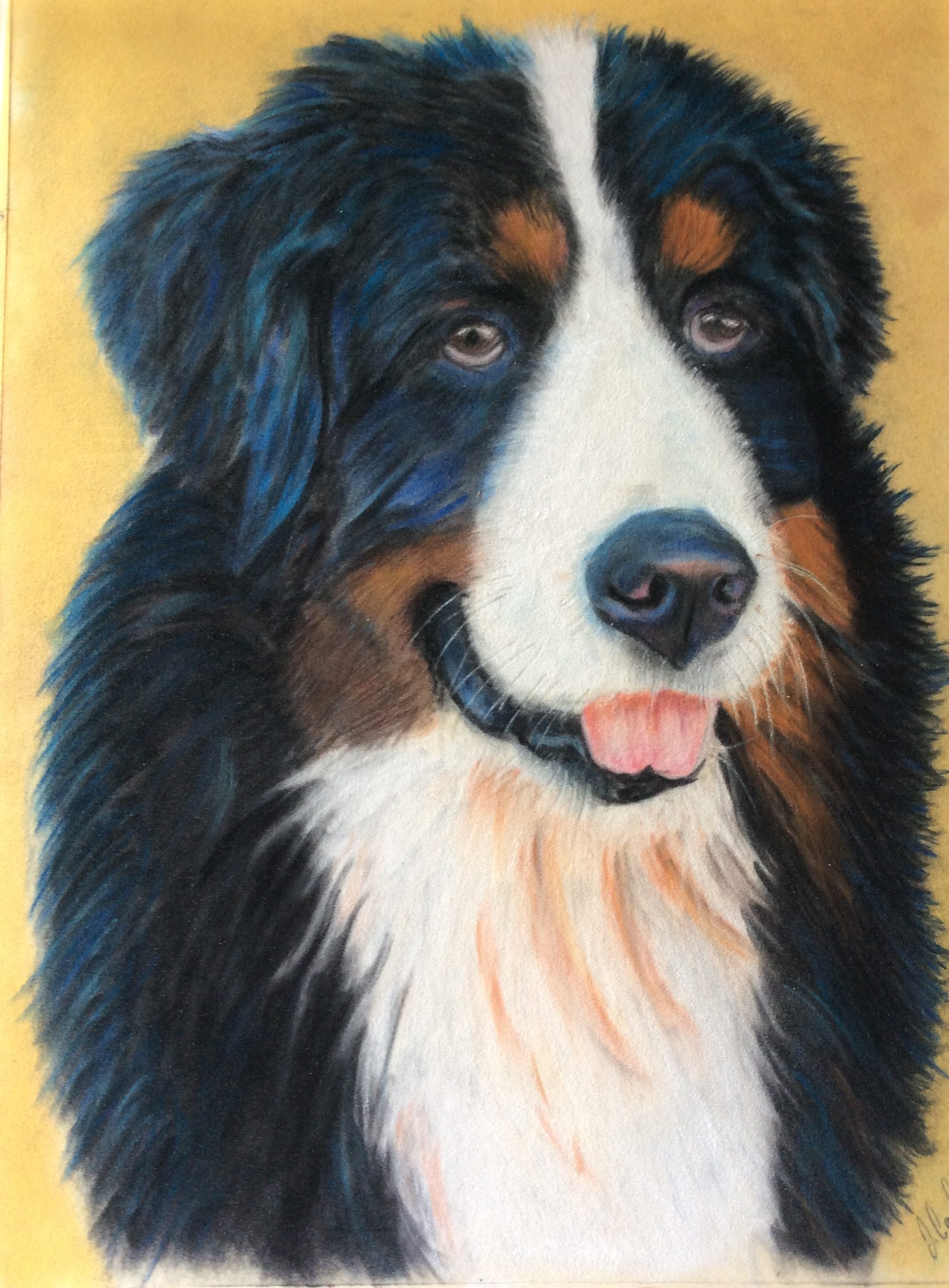 Artists Gallery. – Rochford Art Trail